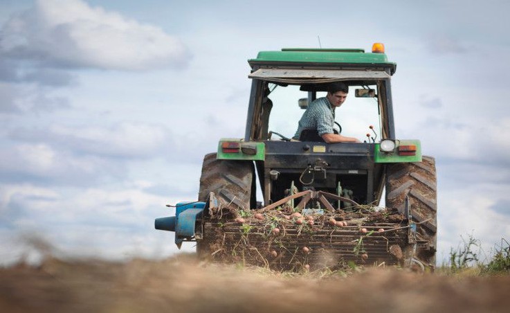 Landwirt Ausbildung: Beruf & freie Stellen