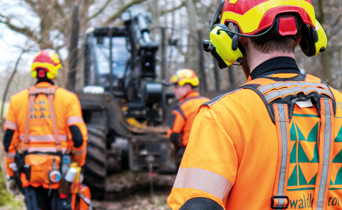 Ausbildung zum Forstwirt | Ausbildung.de